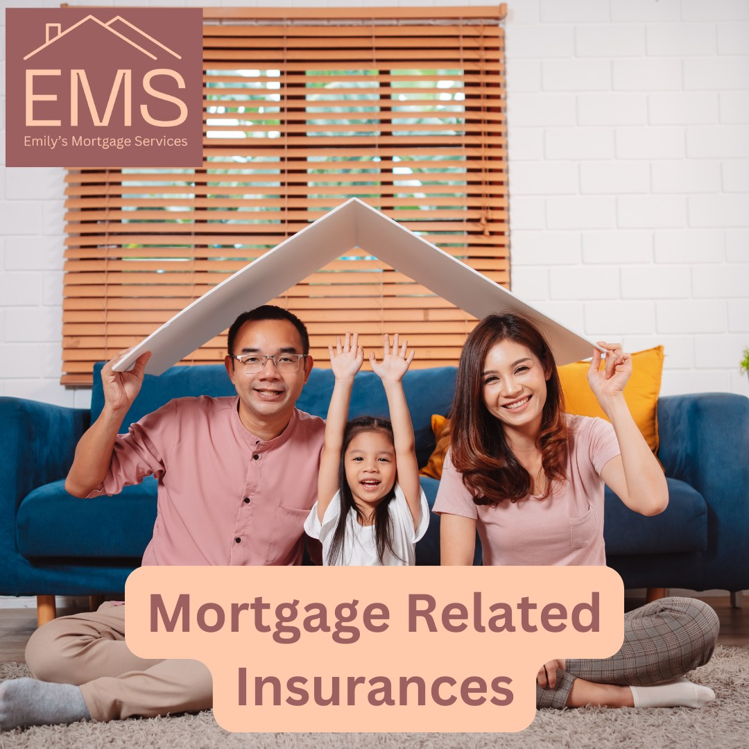 Life Insurance – A Go-To-Guide! – Emily's Mortgage Services LTD
